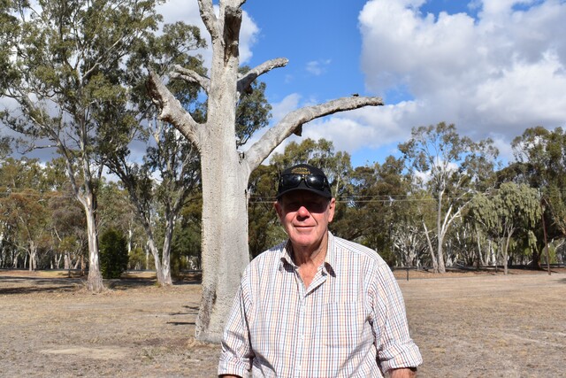 Mundulla's turning blue for mental health | Limestone Coast Today