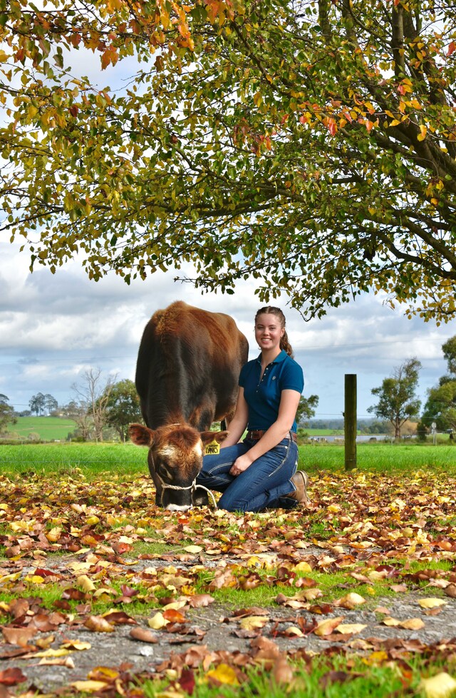 19-year-old places first bull in artificial insemination market ...