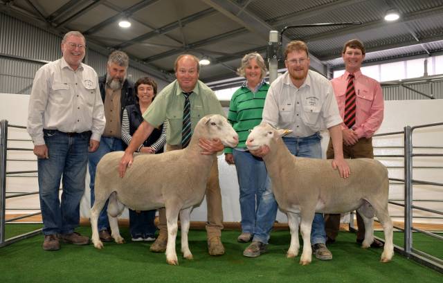 Rams For Better Lambs: Quality is backed by data | Limestone Coast Today