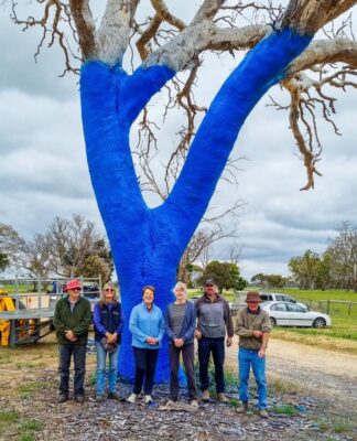 Lucindale Blue Tree Project encourages mental health discussions three ...