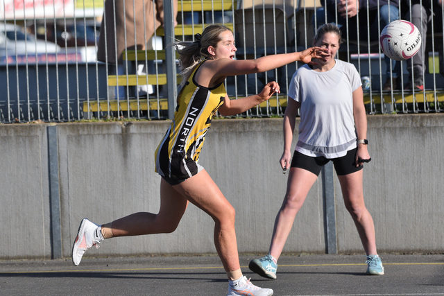 Quick start sets Tigers on victory path | Limestone Coast Today